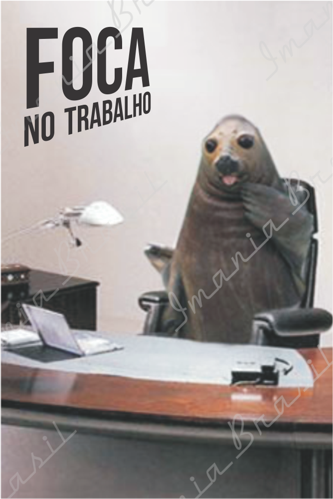 FOCA – Imania Brasil Loja Oficial